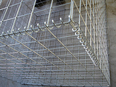 Gabion mesh - Hebei Zhengyang Wire Mesh Products Co., Ltd.